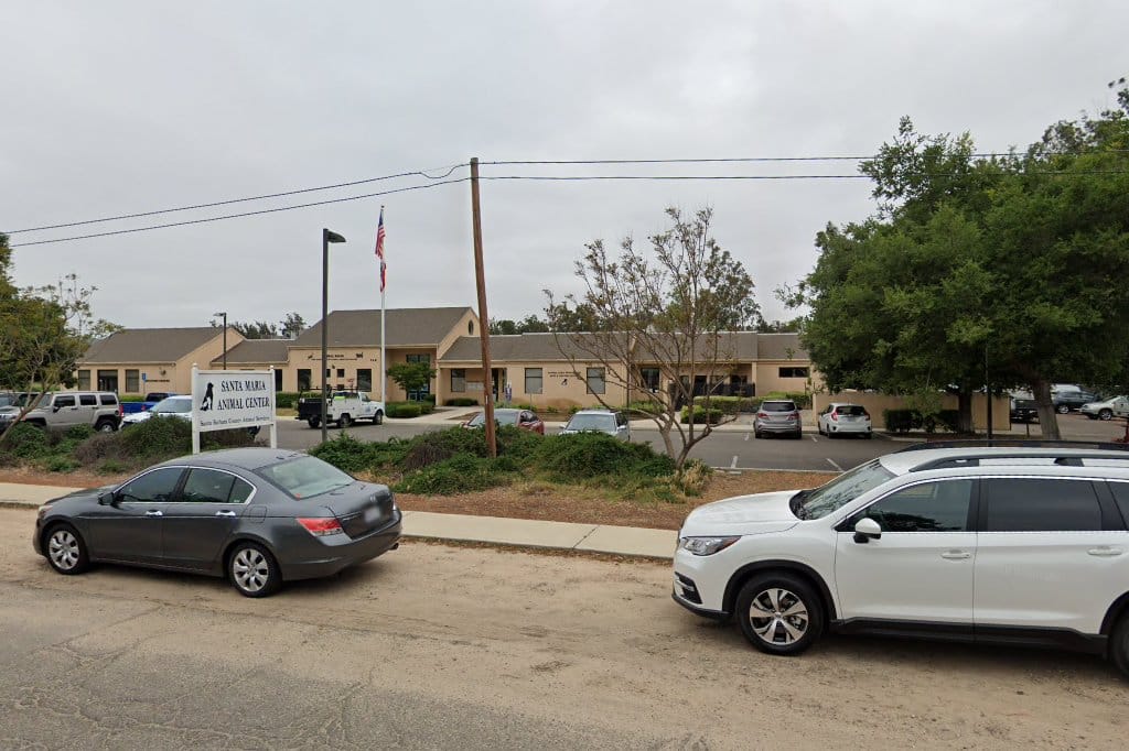 Santa Maria Valley Humane Society in Santa Maria, CA - Find Paw Pal