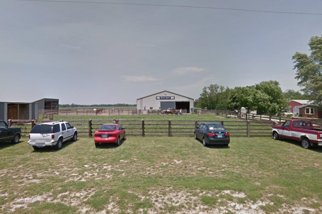 Animal Protective League in Springfield, IL - Find Paw Pal