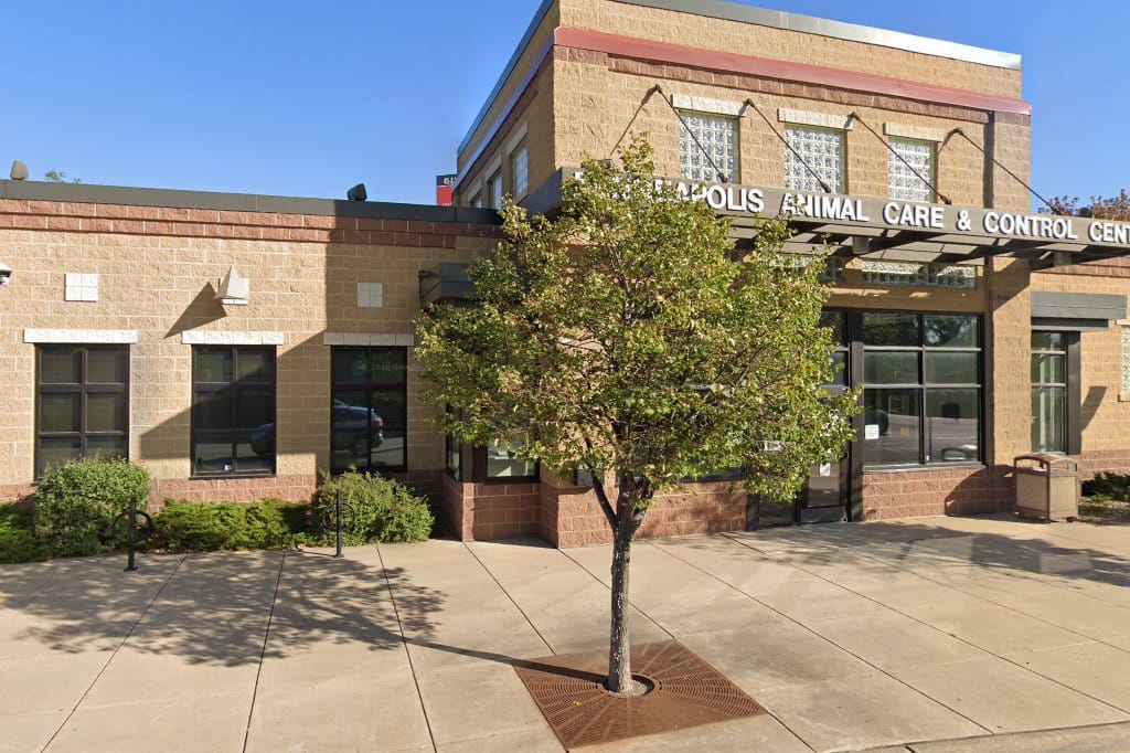 Animal Shelters in Minneapolis, MN - Find Paw Pal