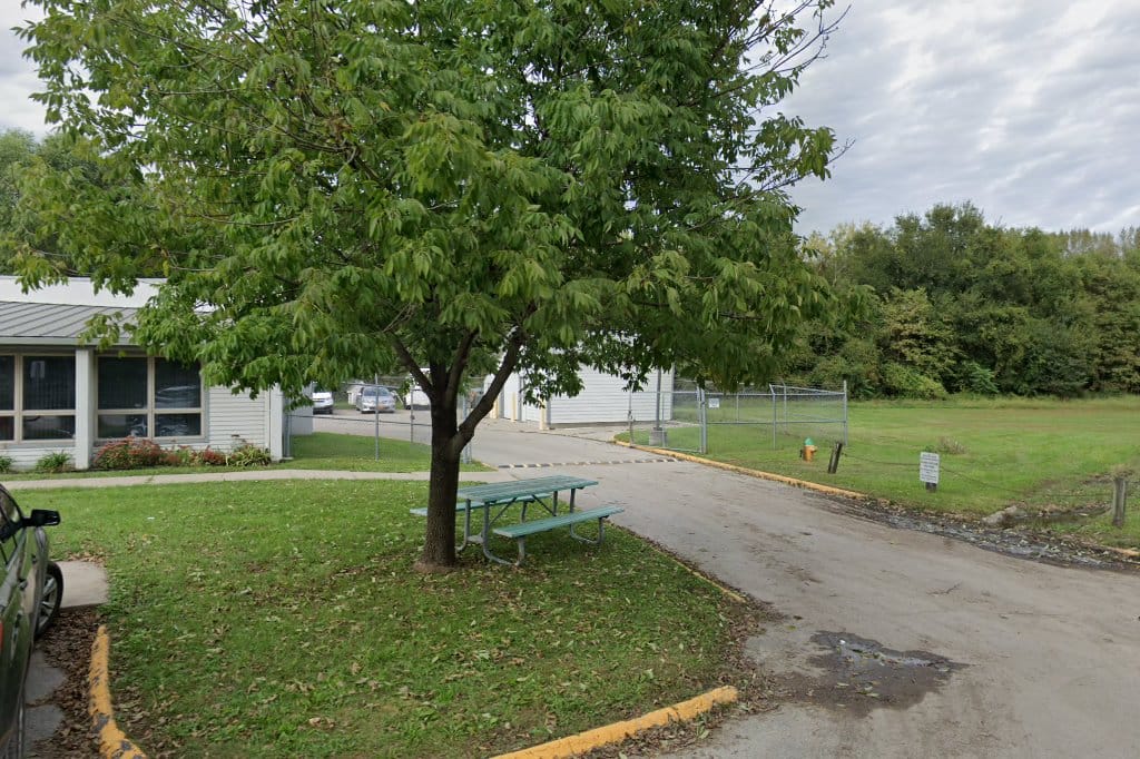 Animal Shelters in Des Moines, IA - Find Paw Pal