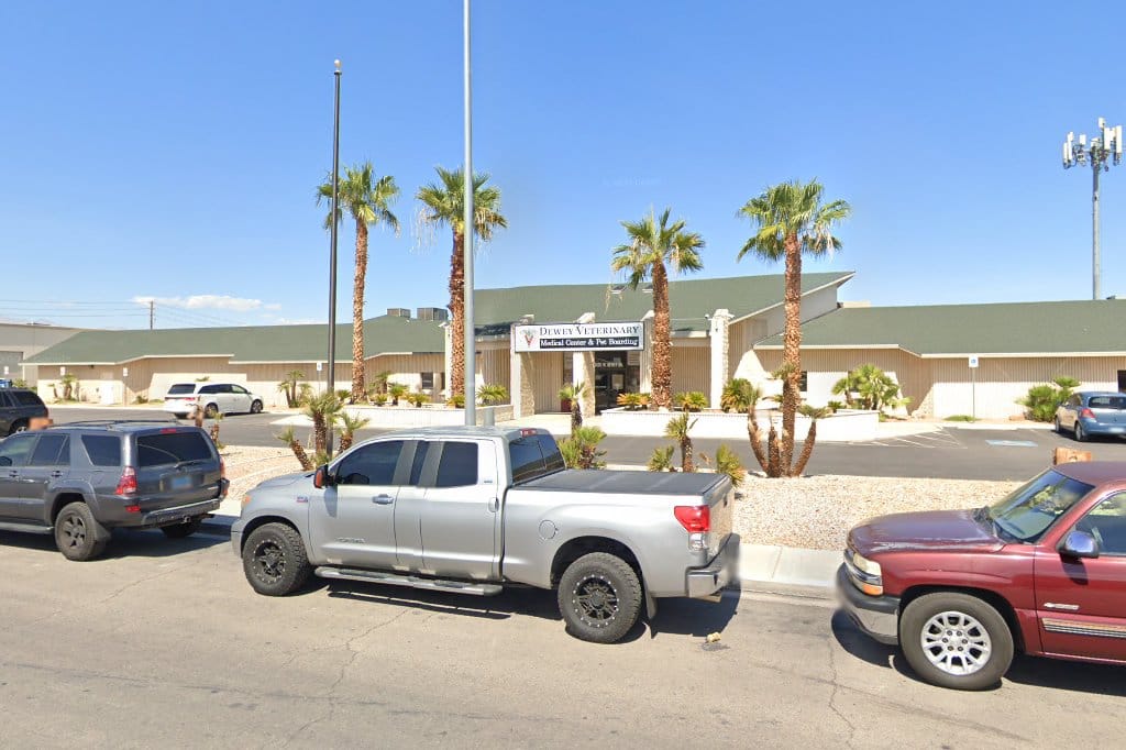 Animal Shelters in Las Vegas, NV - Find Paw Pal