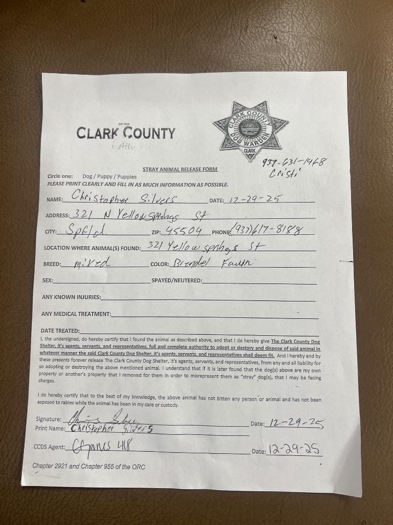 Adopt Riku Today - Find Paw Pal